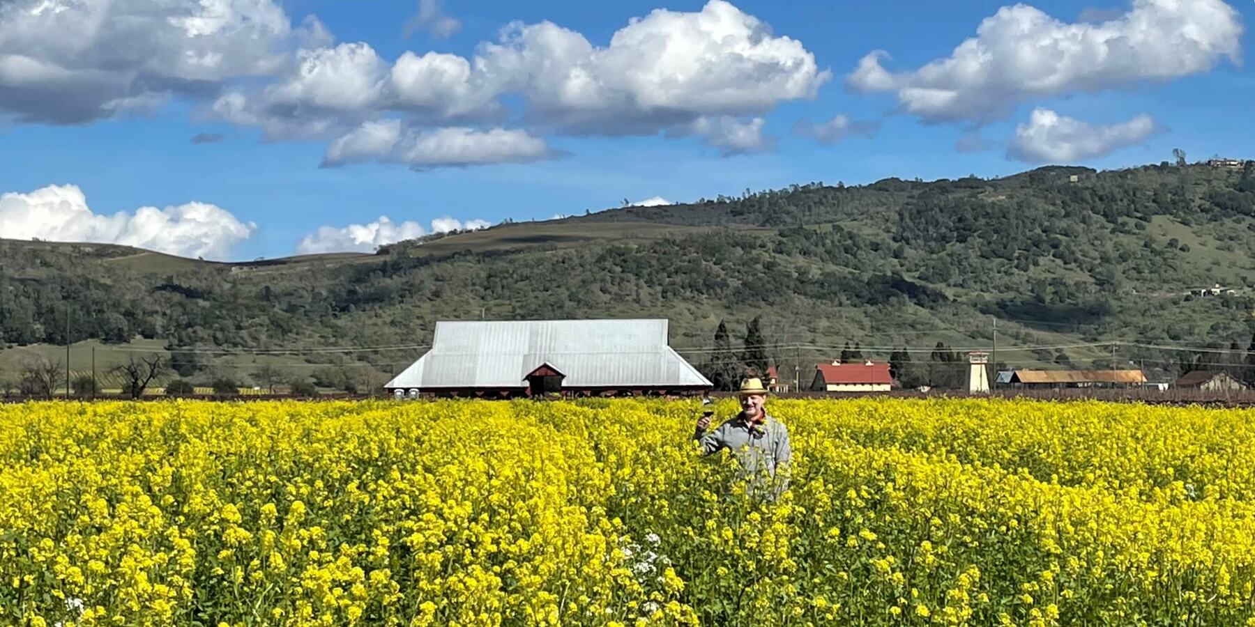 Napa Mustard Season Celebration