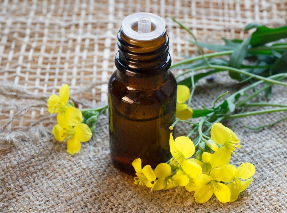 Celebrate the Golden Beauty of Napa Mustard Season