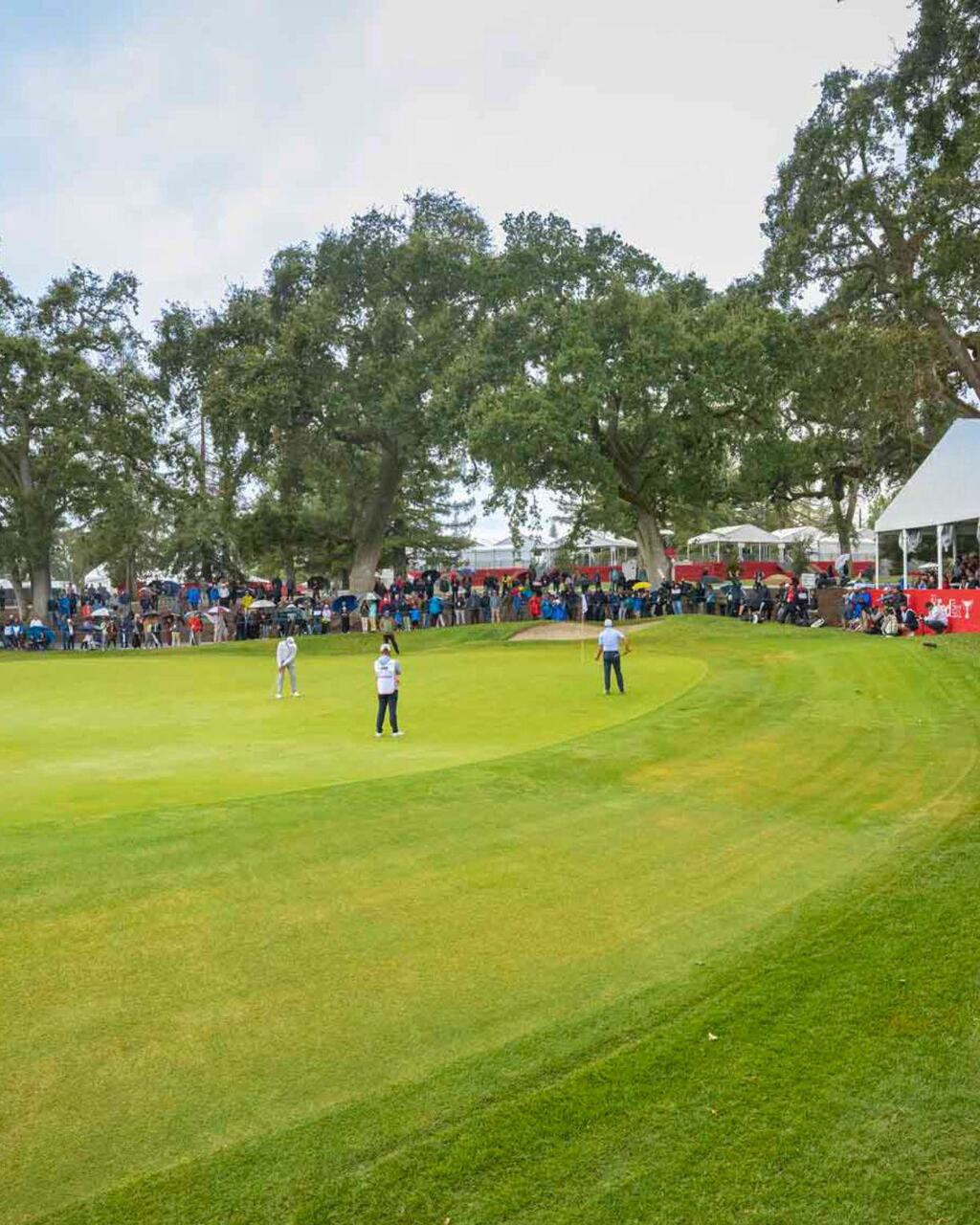 Procore Championship | Napa Valley Golf Tournament